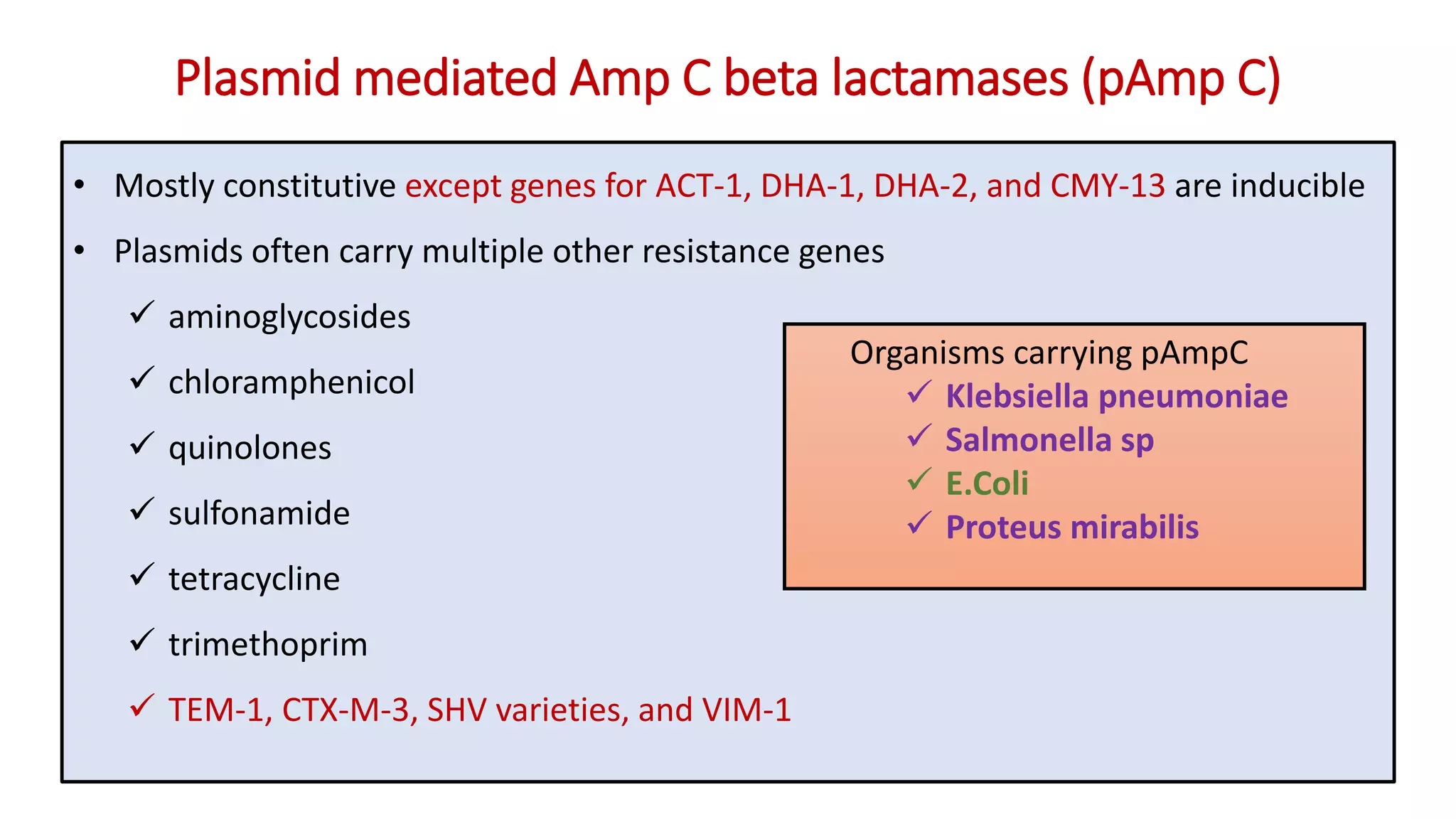 Ampc c beta lactamases | PPTX