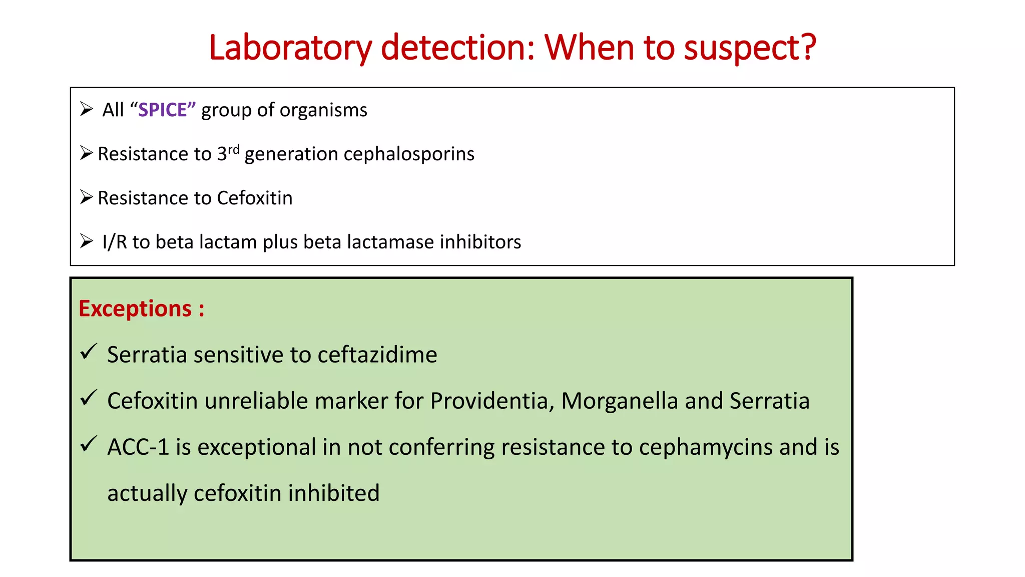 Ampc c beta lactamases | PPTX