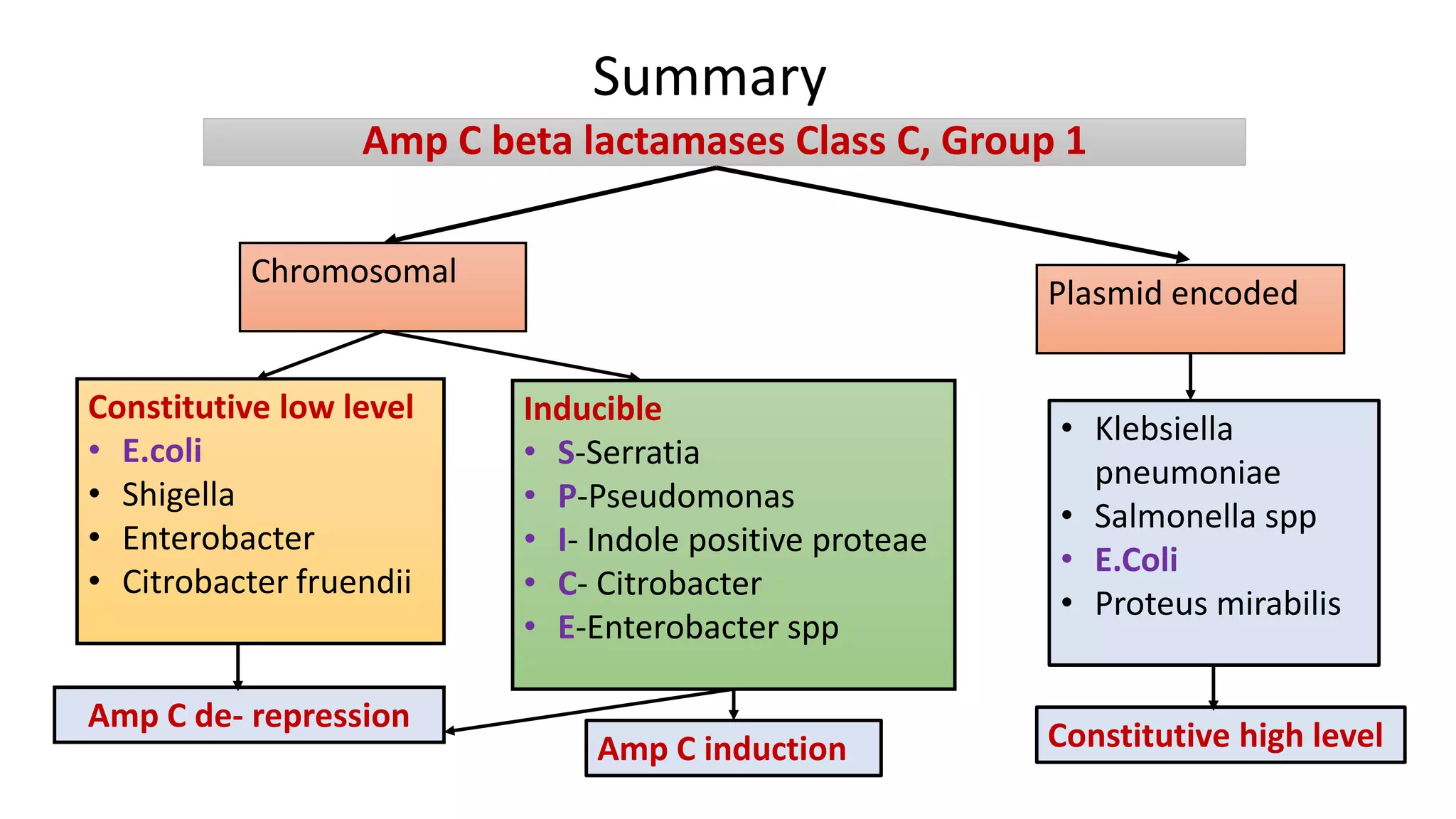 Ampc c beta lactamases | PPTX