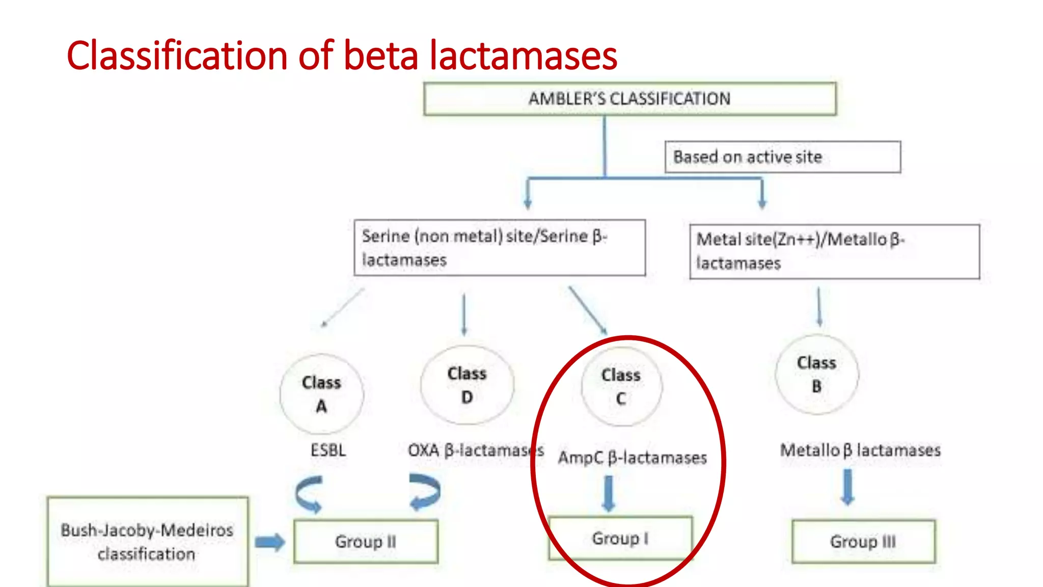 Ampc c beta lactamases | PPTX