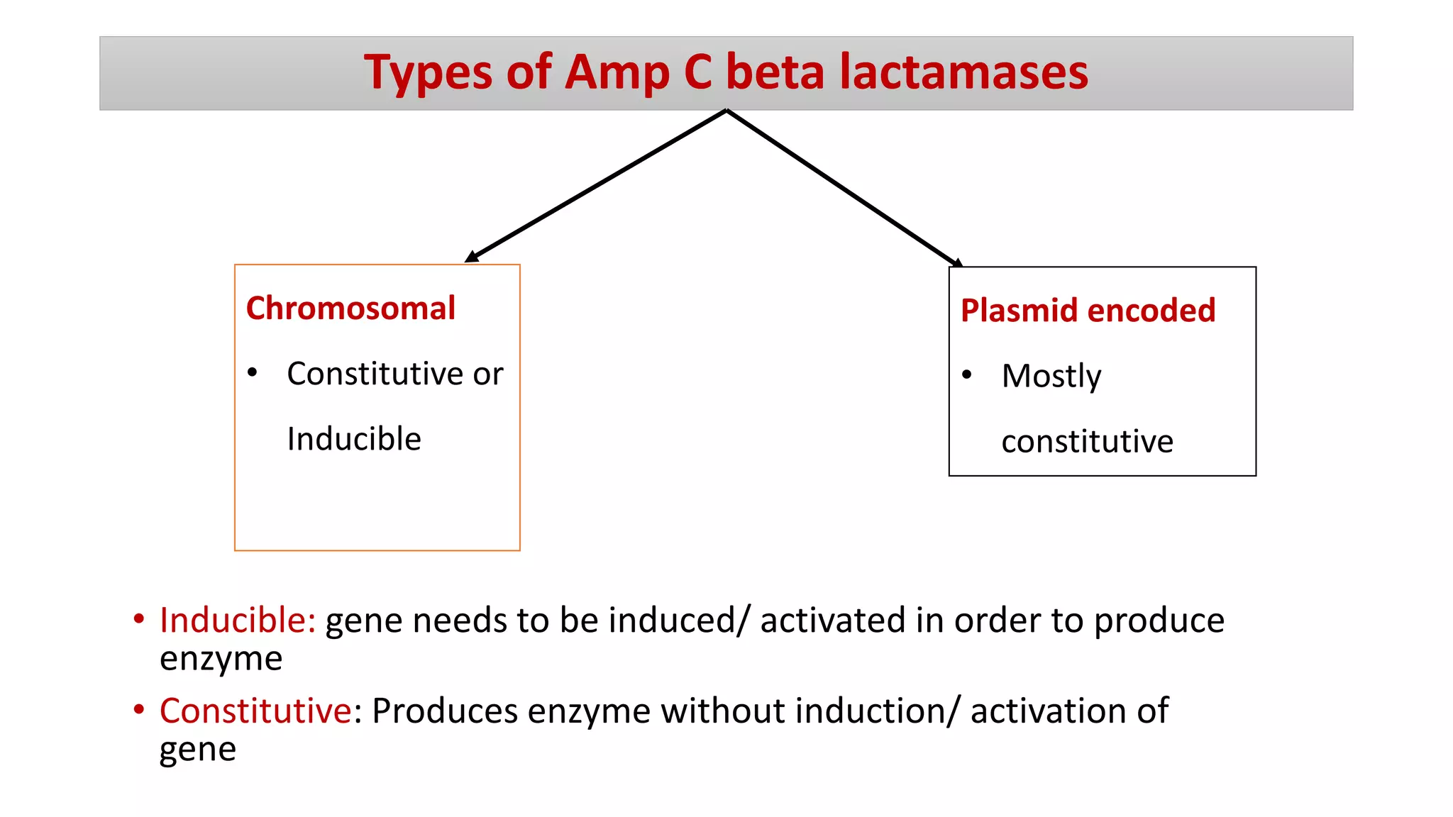 Ampc c beta lactamases | PPTX