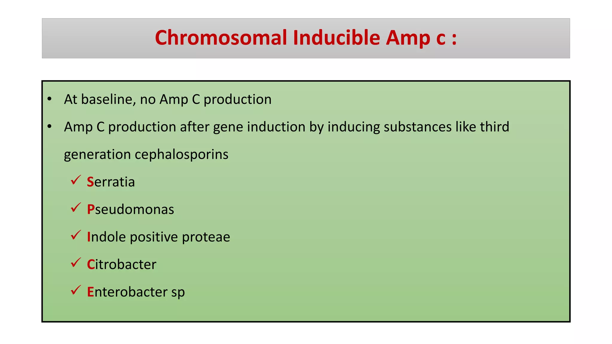 Ampc c beta lactamases | PPTX