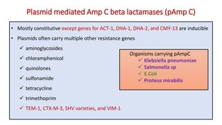 Ampc c beta lactamases | PPTX