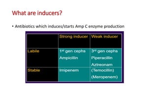 Ampc c beta lactamases | PPTX