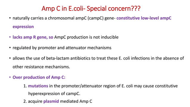 Ampc c beta lactamases | PPTX | Chemistry | Science