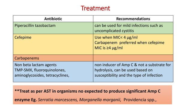 Ampc c beta lactamases | PPTX | Chemistry | Science