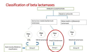 Ampc c beta lactamases | PPTX