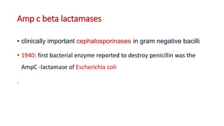 Ampc c beta lactamases | PPTX