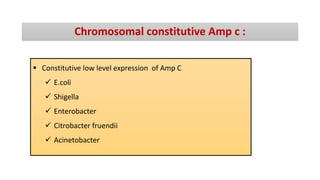 Ampc c beta lactamases | PPTX