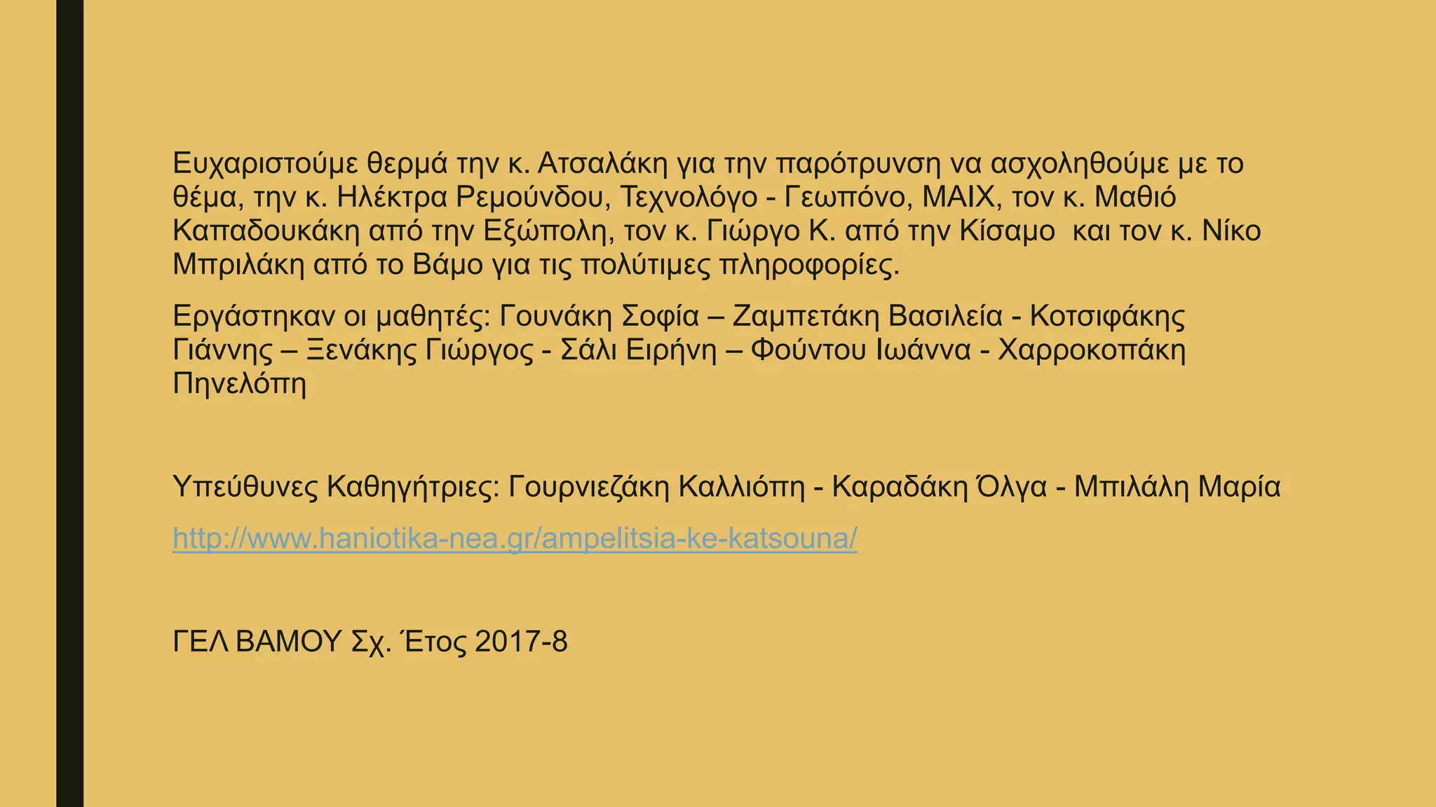 Ampelitsia kai katsouna | PPTX