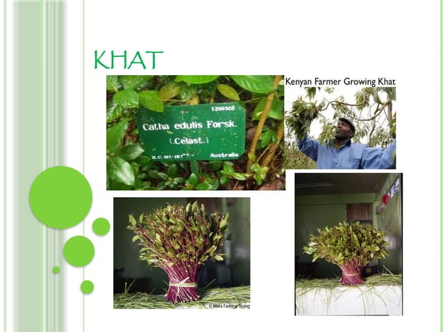 Amphetamine and Related Disorders(khat.pptx