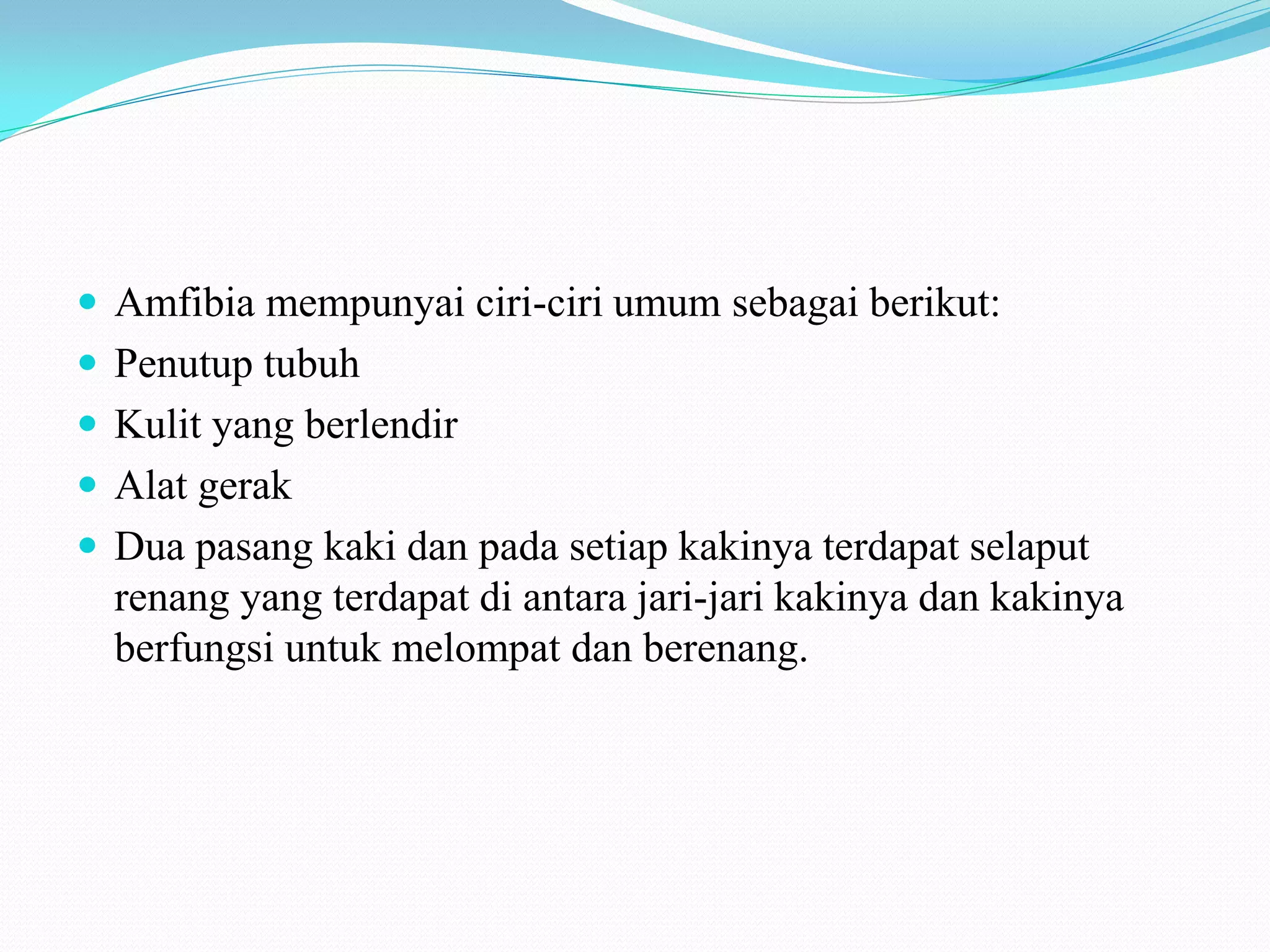 Amphibi | PDF