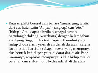 Amphibi | PDF