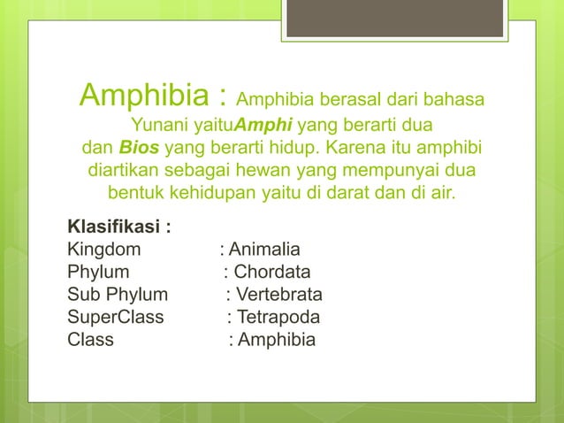 Amphibi | PPT