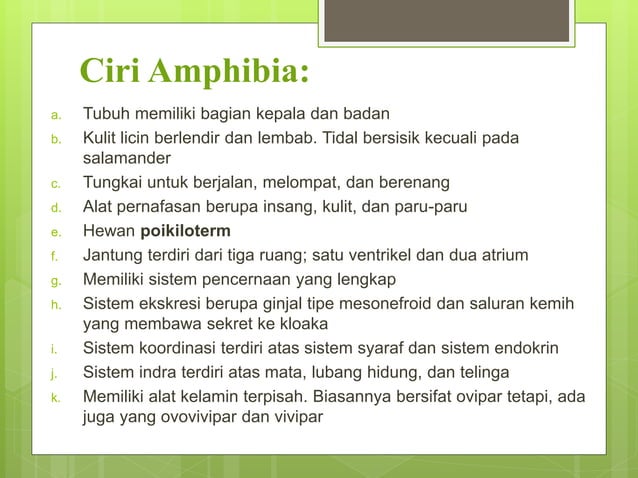 Amphibi | PPT