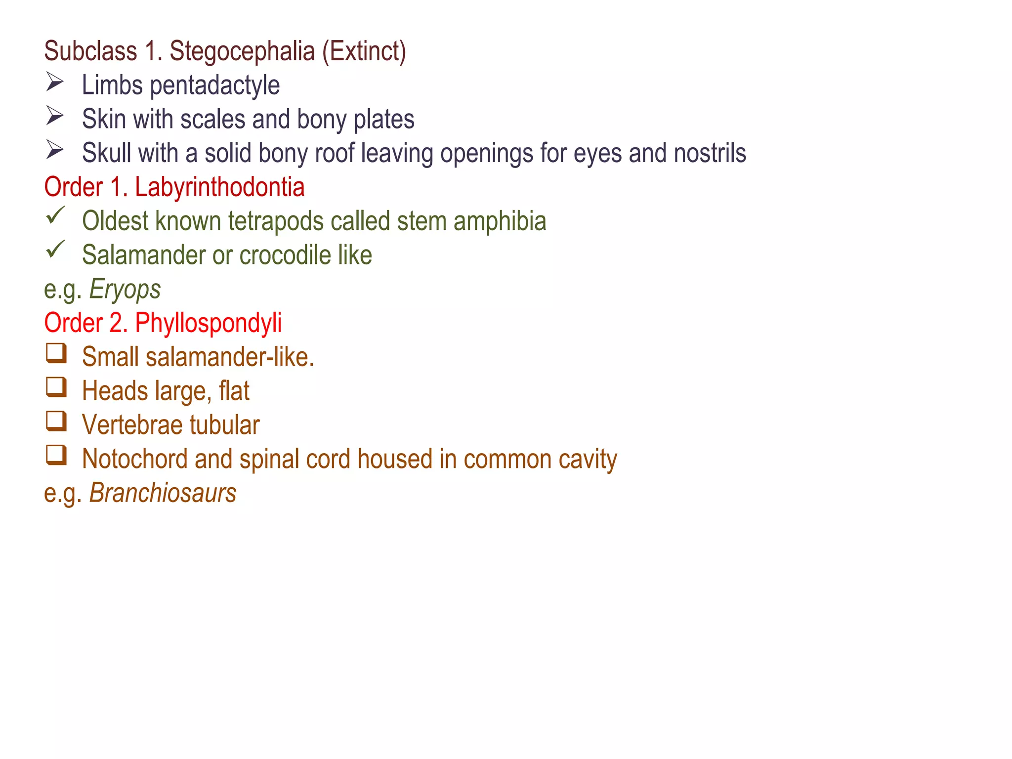 Amphibia class | PPT