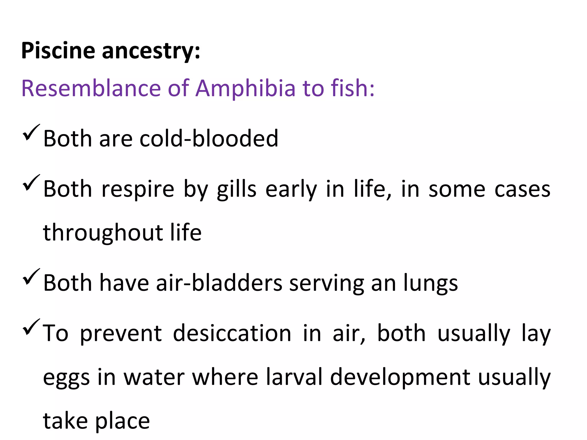 Amphibia class | PPT