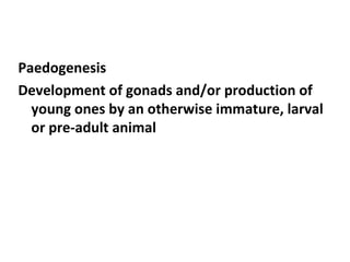 Amphibia class | PPT