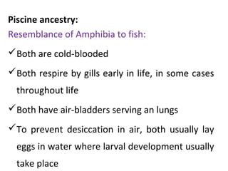 Amphibia class | PPT