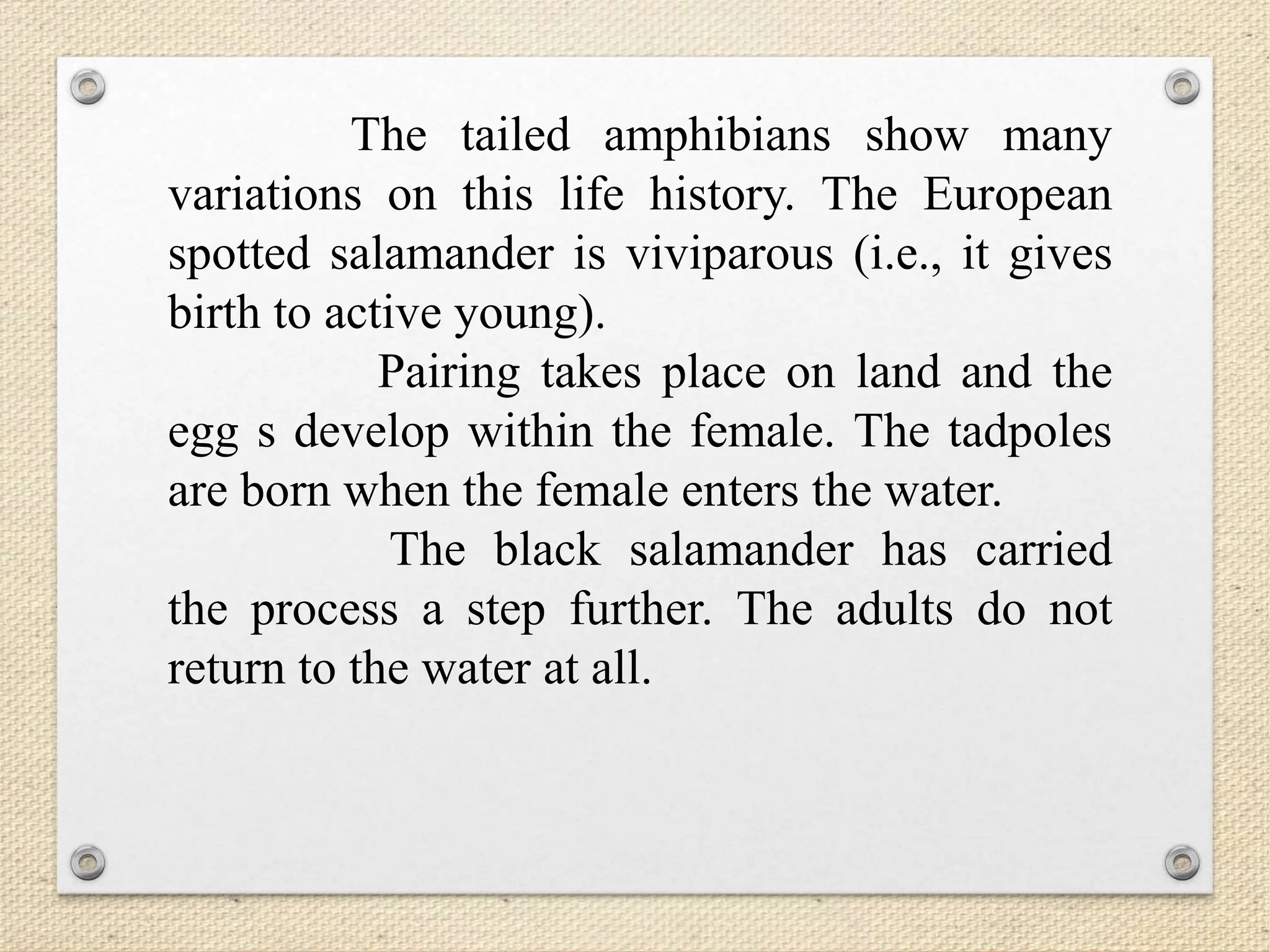 Amphibia.pptx | Biological Sciences | Science