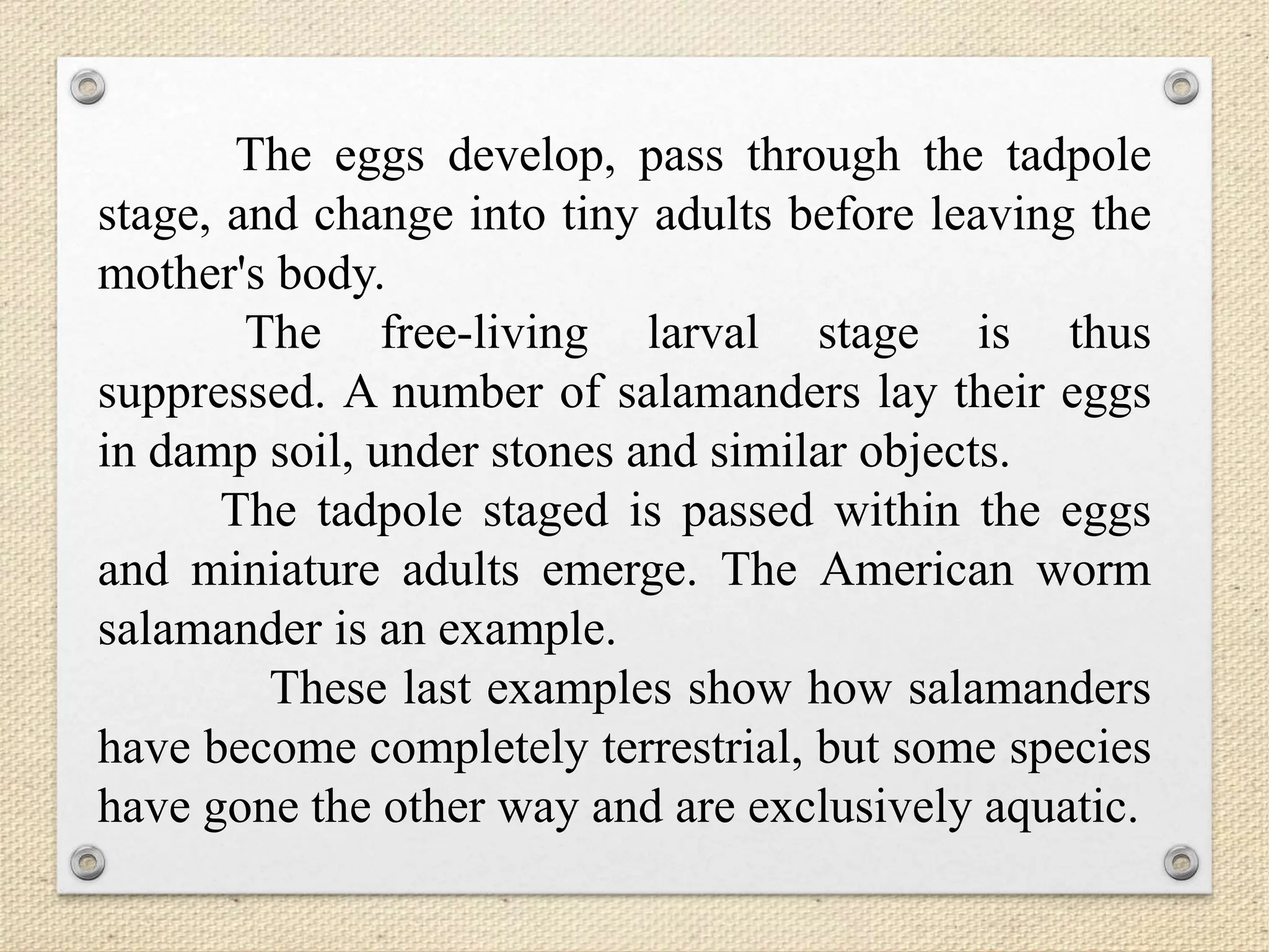 Amphibia.pptx | Biological Sciences | Science