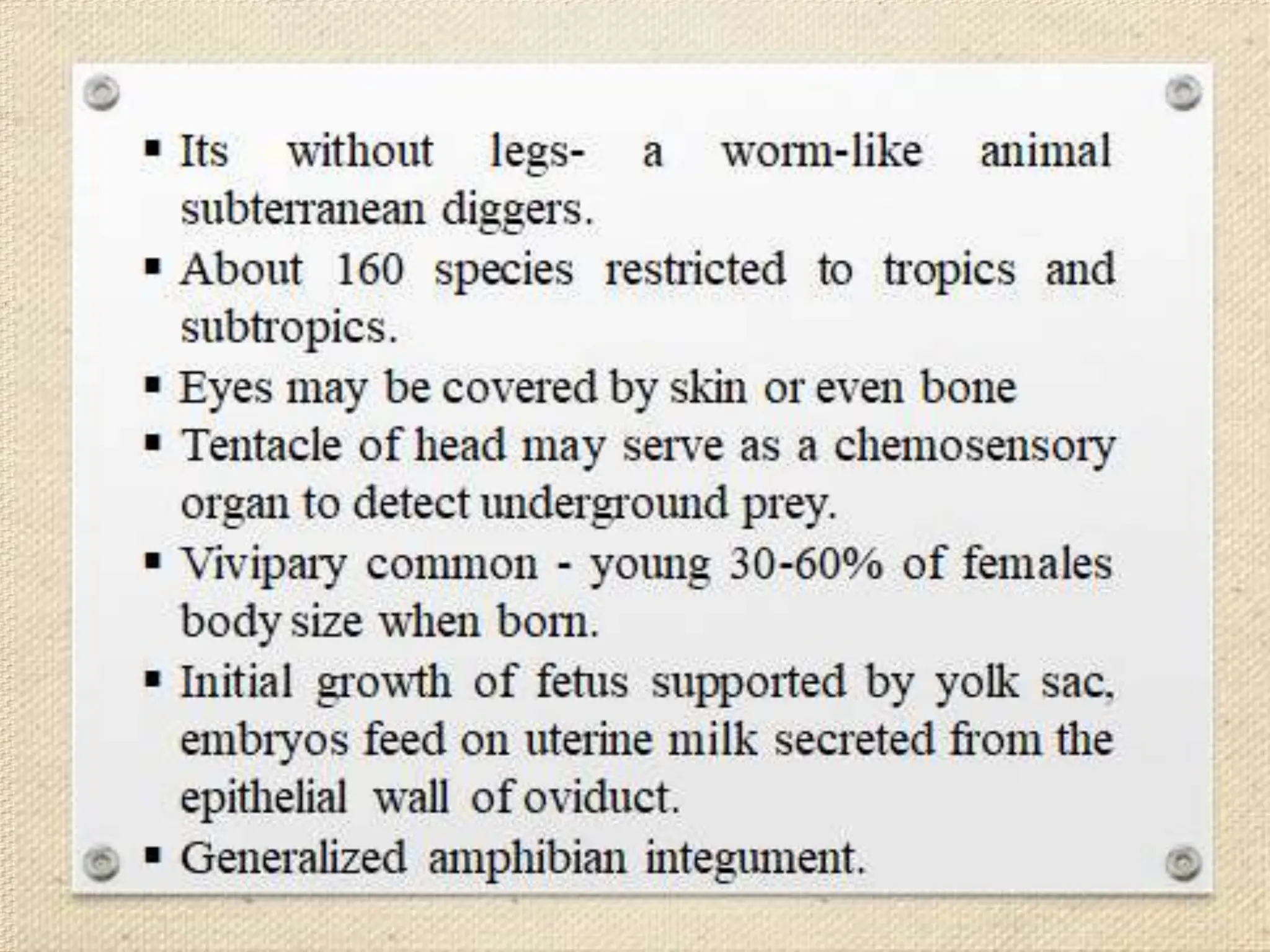 Amphibia.pptx | Biological Sciences | Science