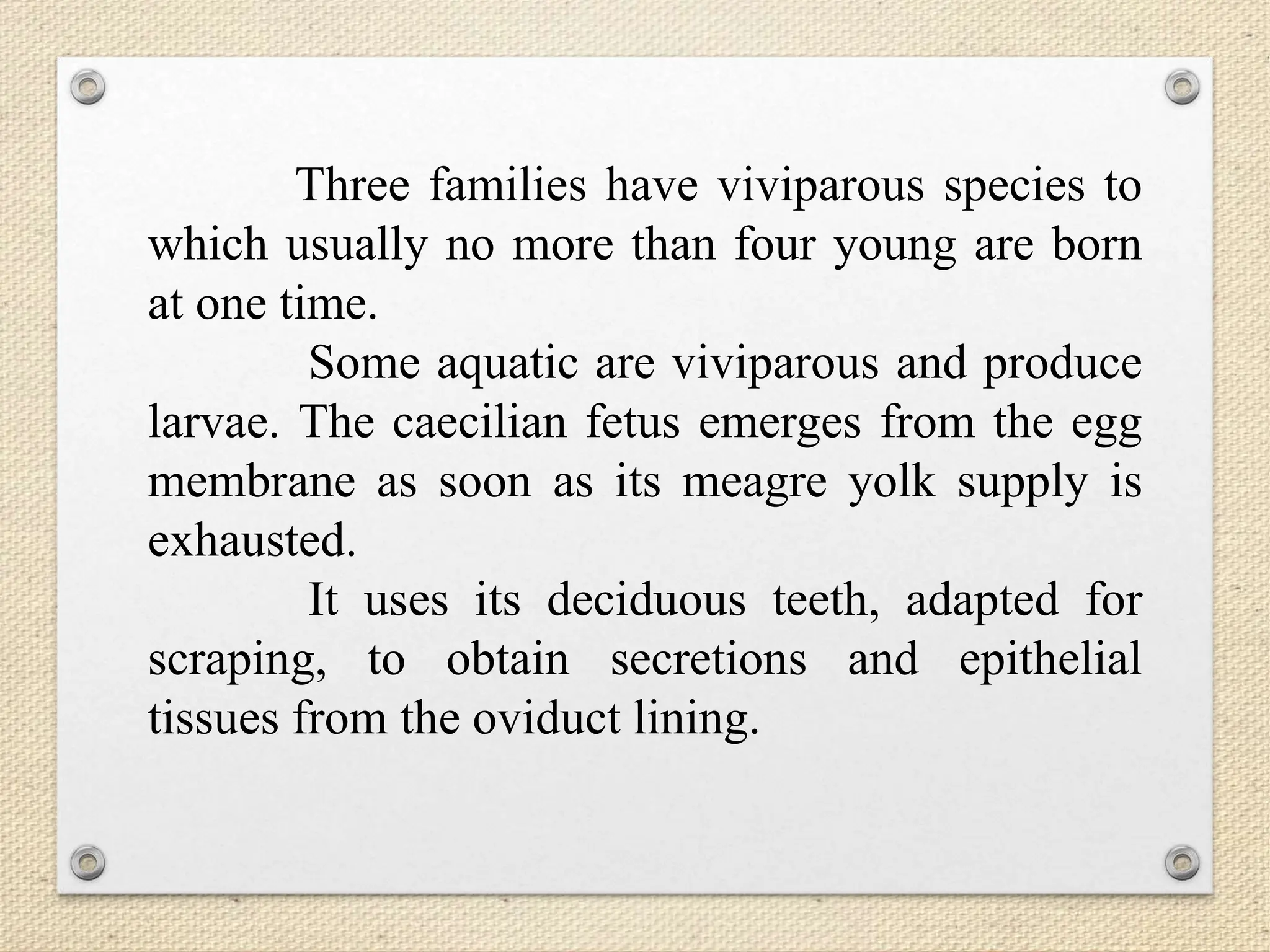 Amphibia.pptx | Biological Sciences | Science