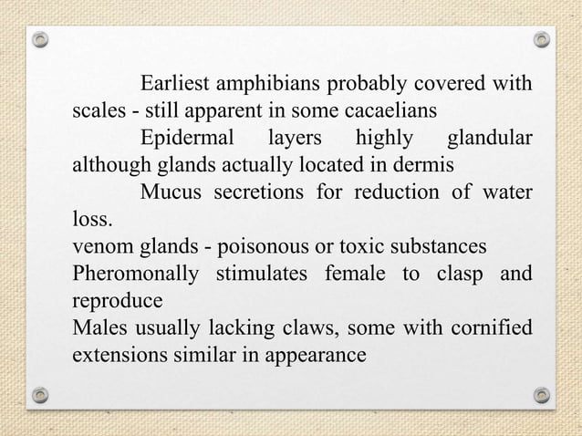 Amphibia.pptx | Biological Sciences | Science