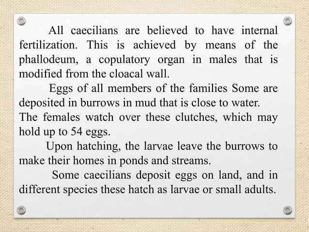 Amphibia.pptx | Biological Sciences | Science