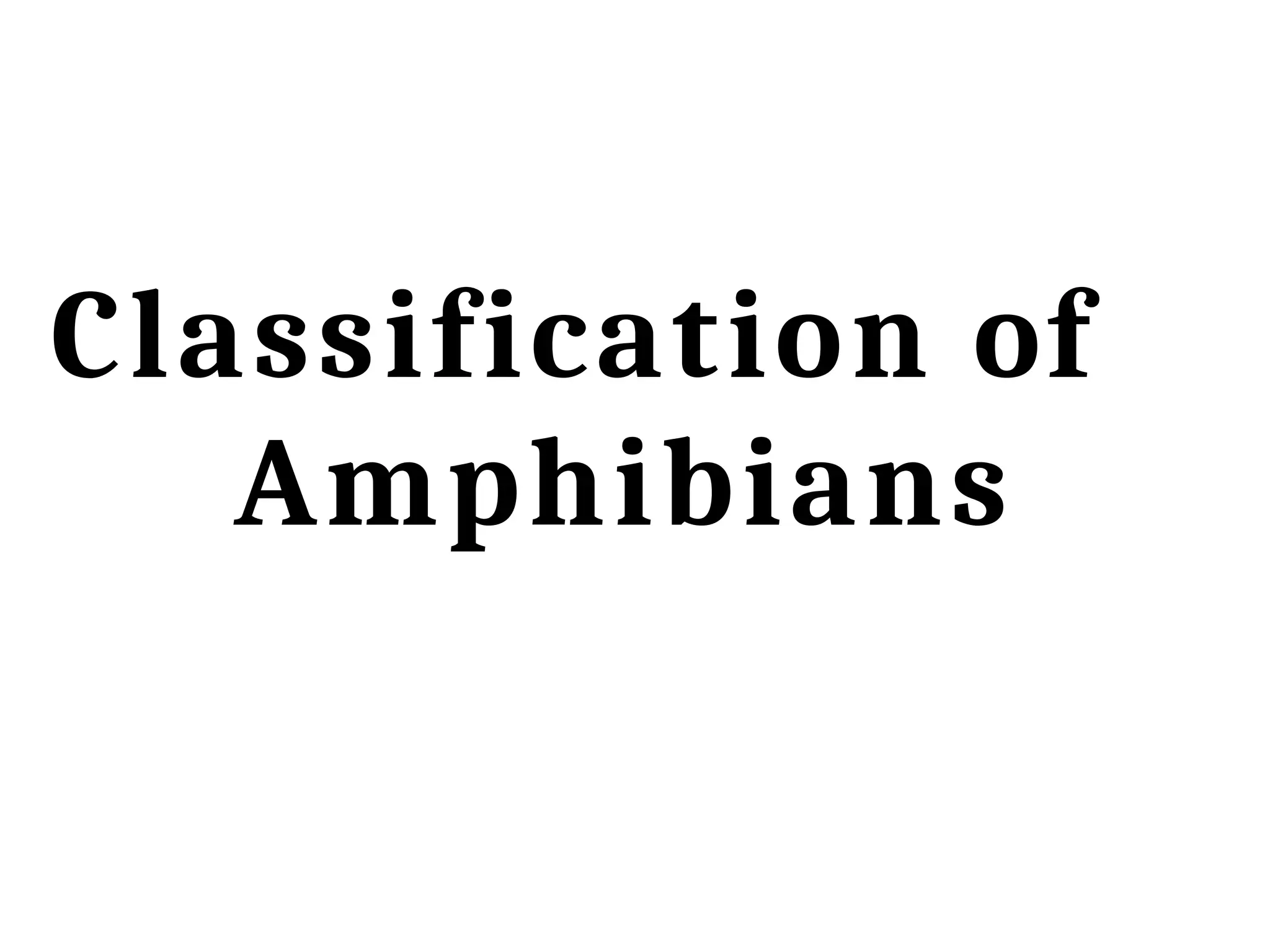 Amphibia --General characteristics .pptx