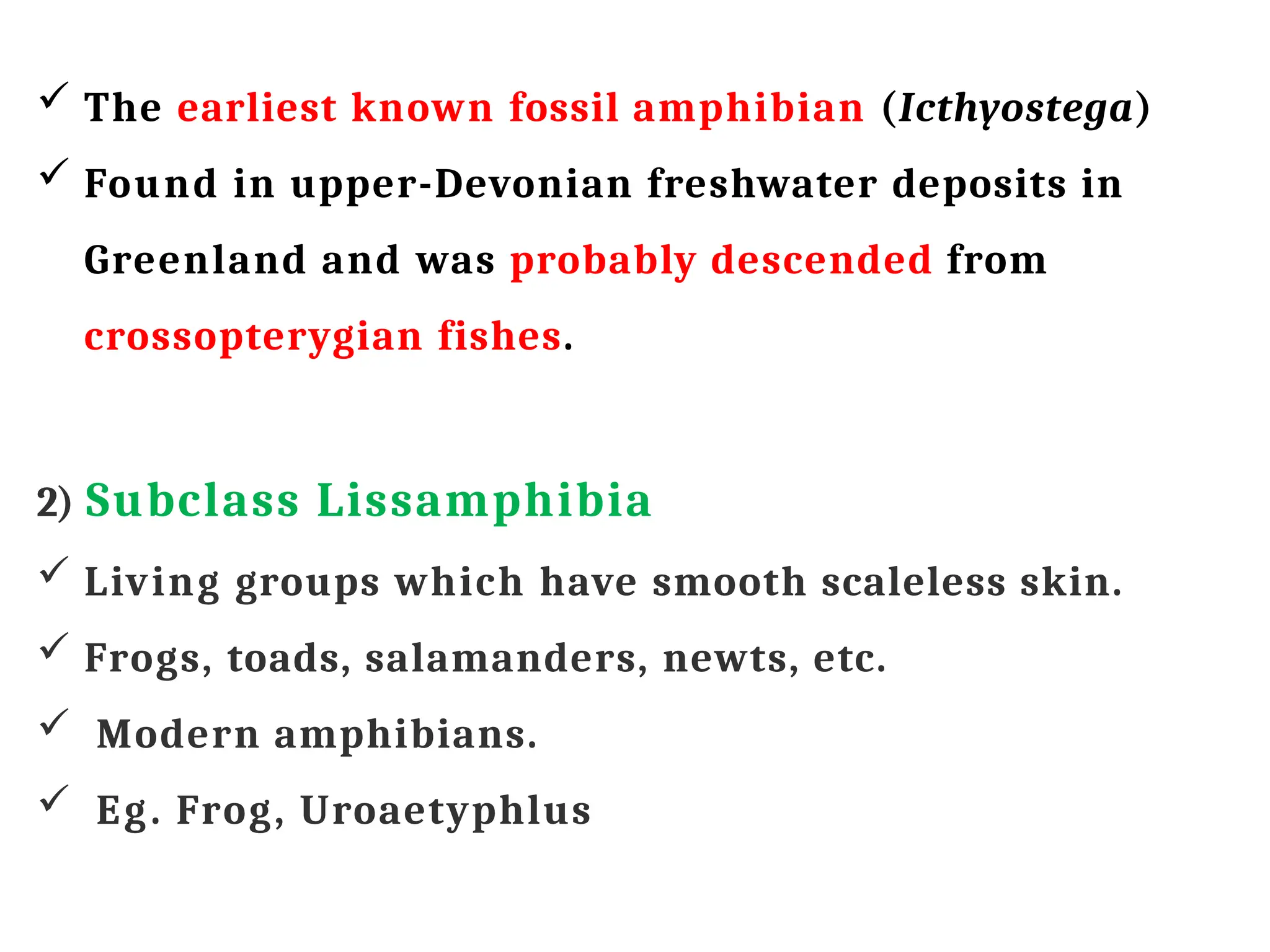 Amphibia --General characteristics .pptx