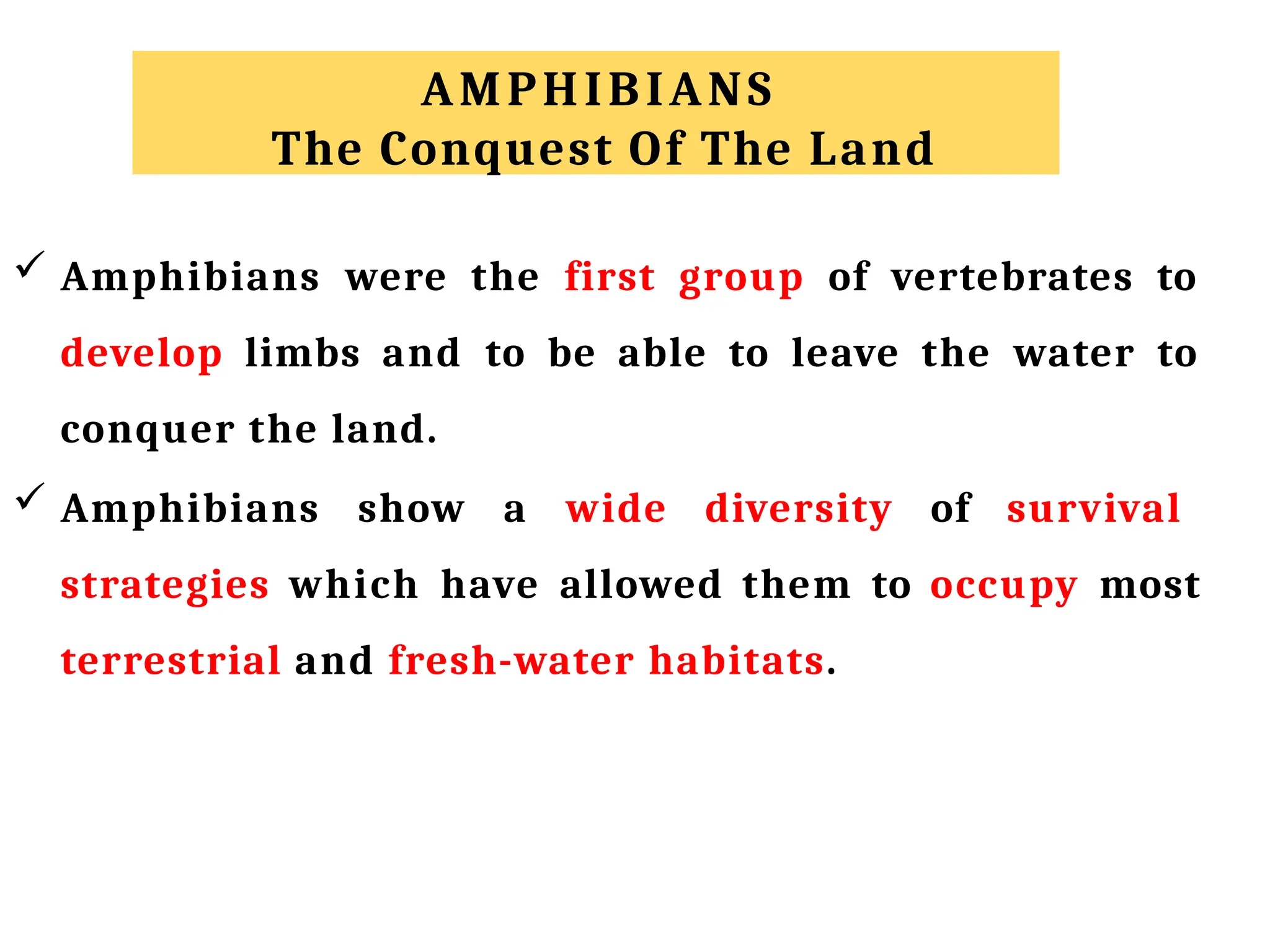 Amphibia --General characteristics .pptx