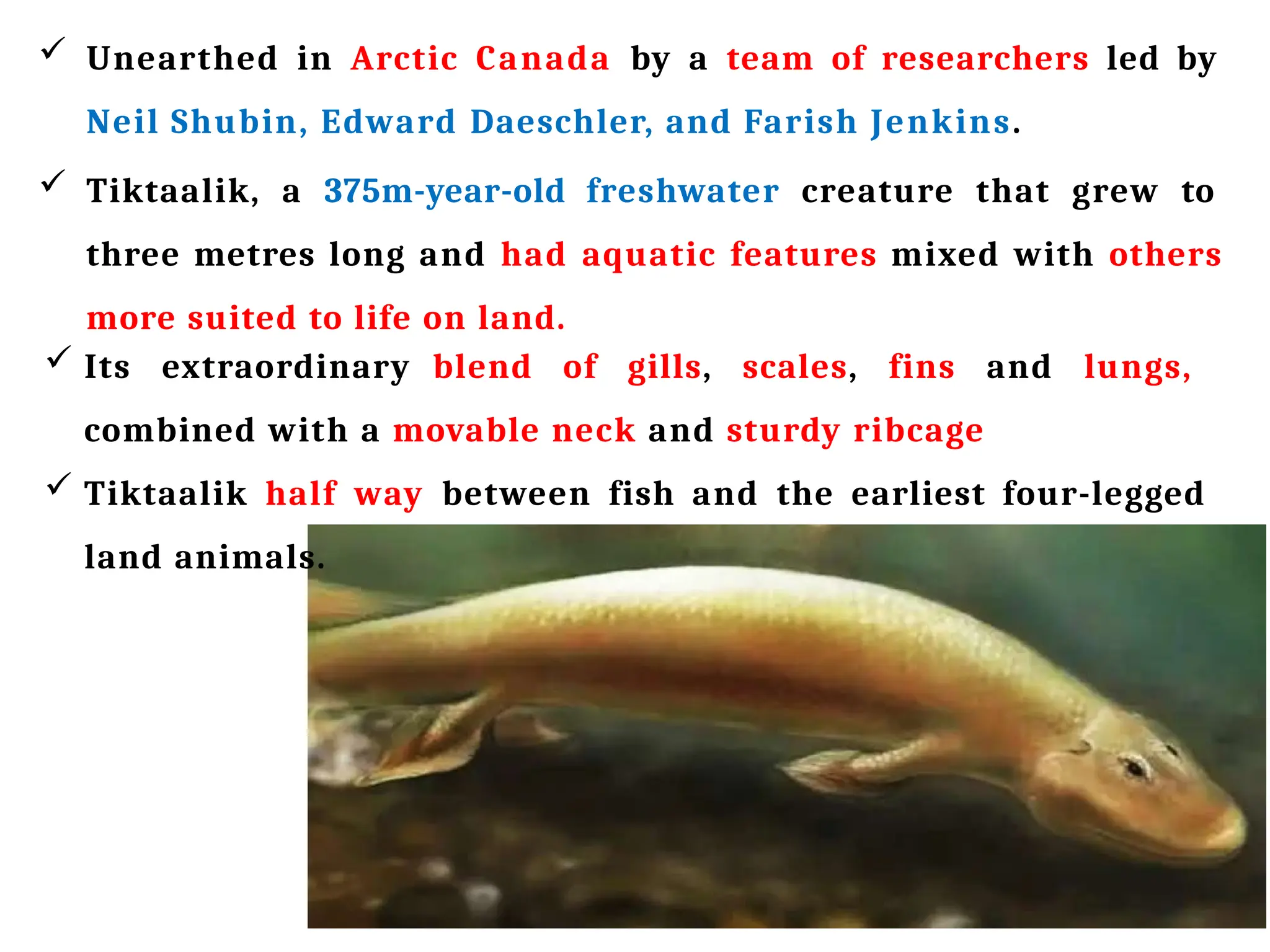 Amphibia --General characteristics .pptx