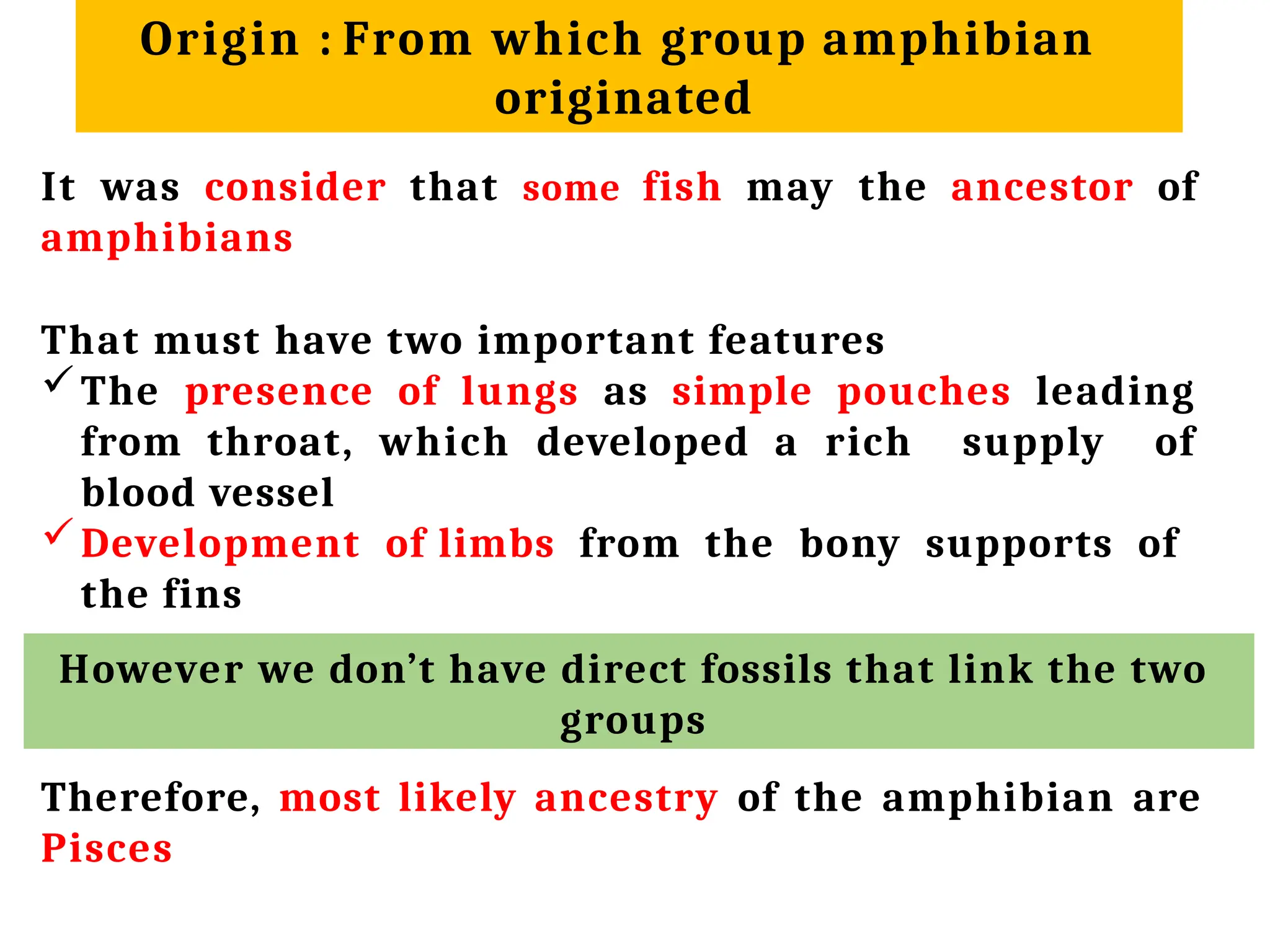 Amphibia --General characteristics .pptx