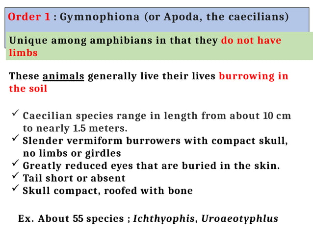 Amphibia --General characteristics .pptx | Reptiles | Pets