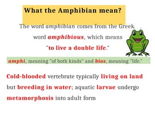 Amphibia --General characteristics .pptx