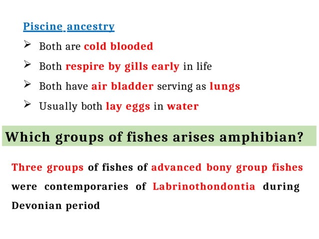 Amphibia --General characteristics .pptx | Reptiles | Pets