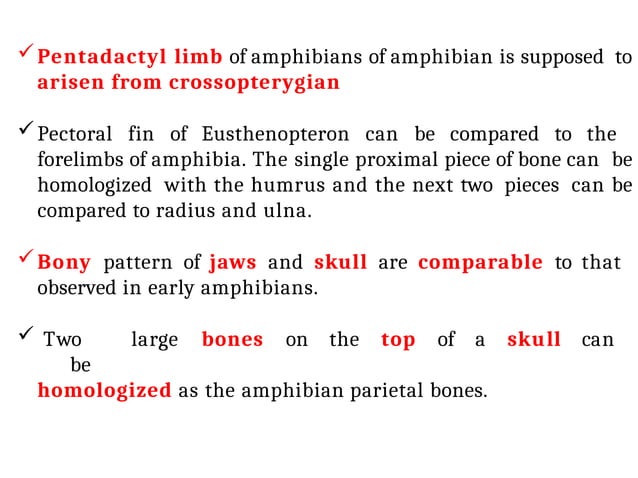 Amphibia --General characteristics .pptx | Reptiles | Pets