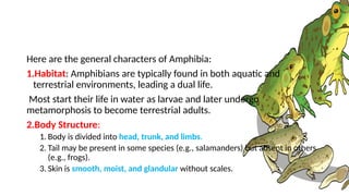 Comprehensive Overview of Amphibia: Characteristics, Habitat, and Life ...