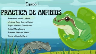 Práctica de AMPHIBIA- EQUIPO 1.pdf. | PDF
