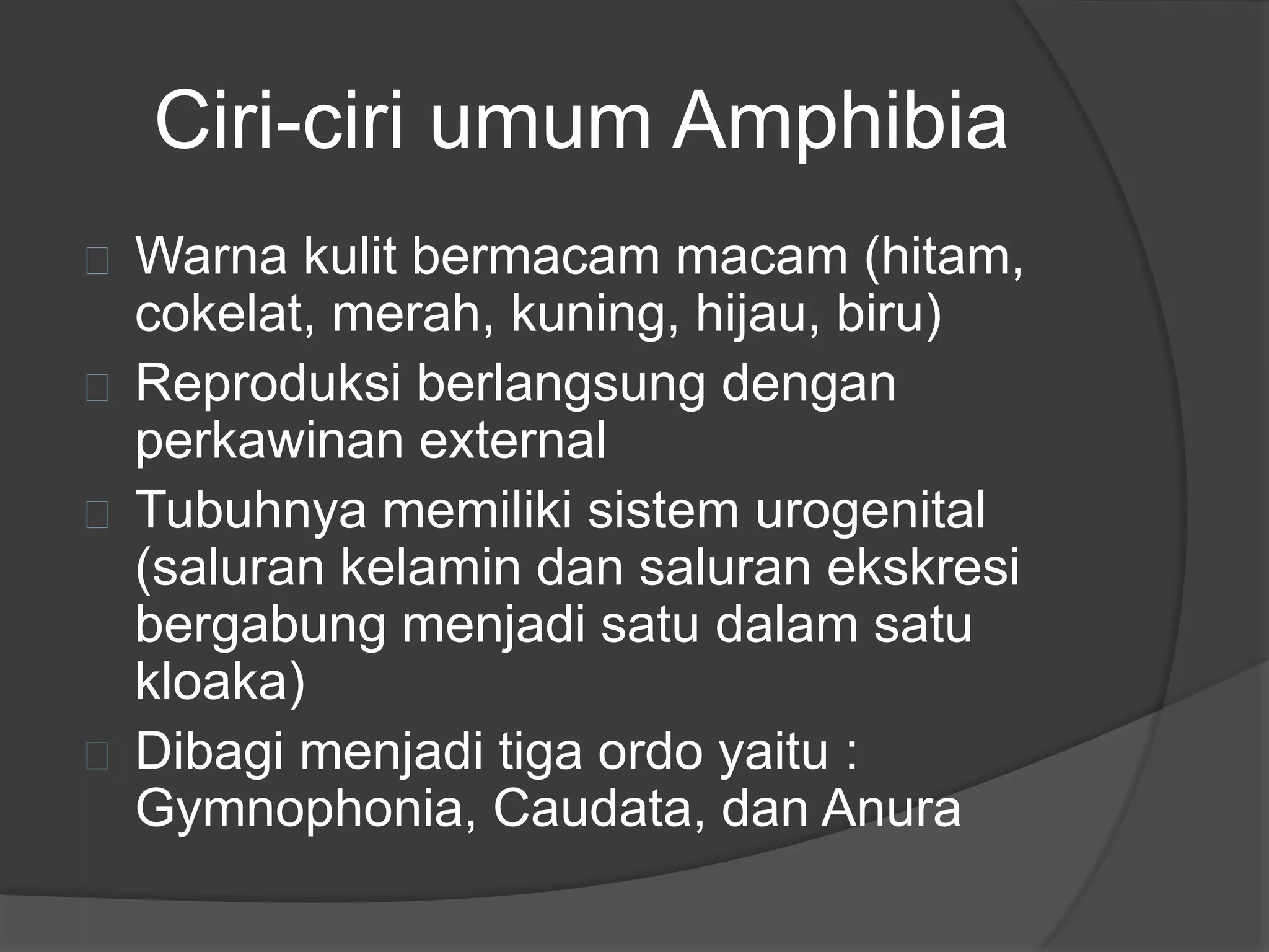 Amphibia (Binatang Amphibi) | PPTX