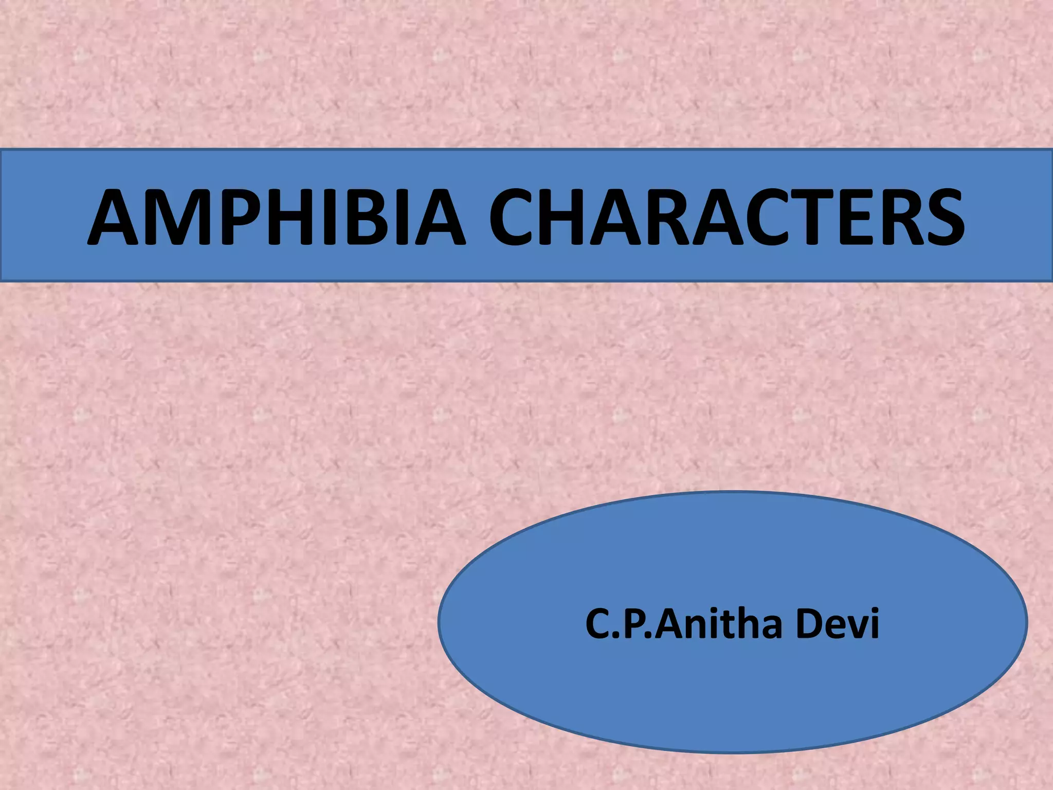 Amphibia characters | PPT