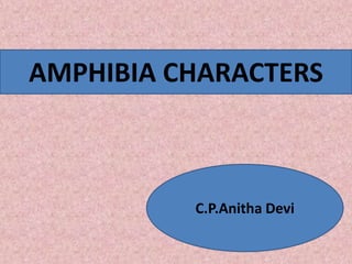 Amphibia characters | PPT