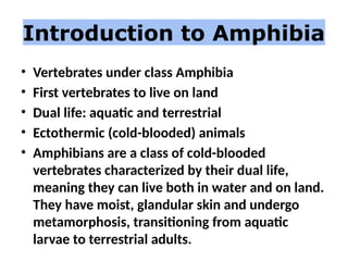 Amphibia_General_and_Special_Characters.pptx