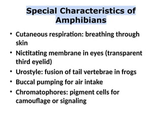 Amphibia_General_and_Special_Characters.pptx