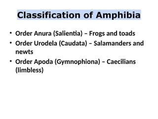Amphibia_General_and_Special_Characters.pptx