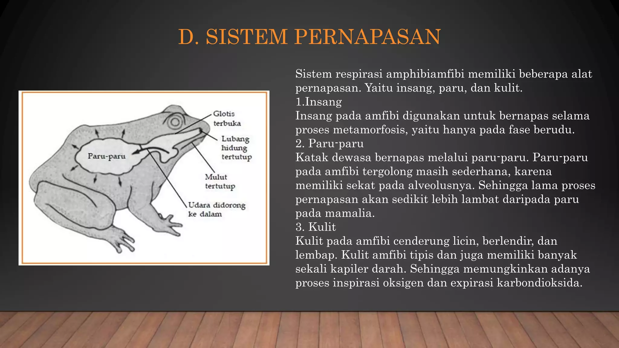 AMPHIBIA kelompok 3.pptx