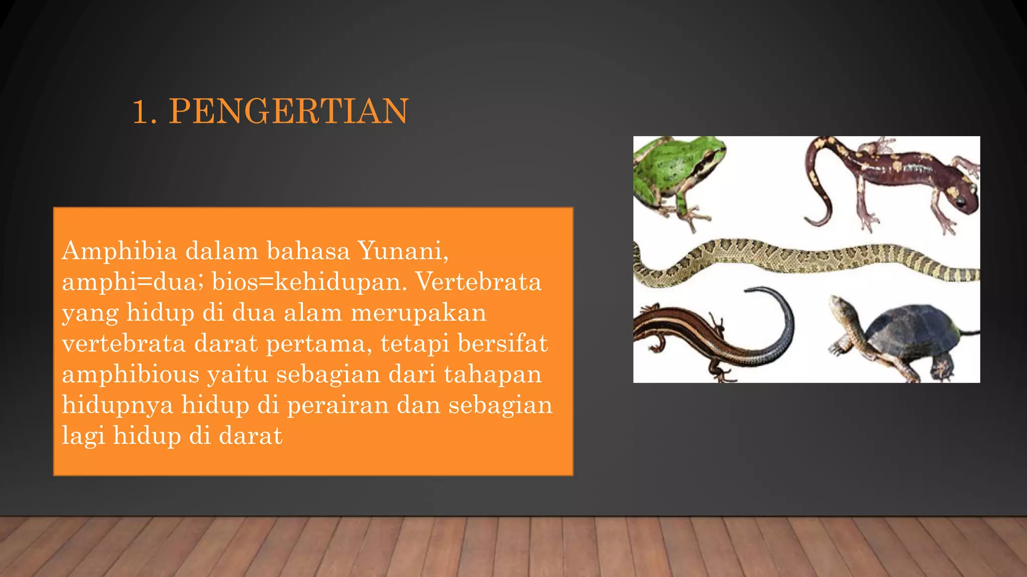 AMPHIBIA kelompok 3.pptx