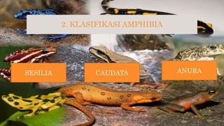 AMPHIBIA kelompok 3.pptx