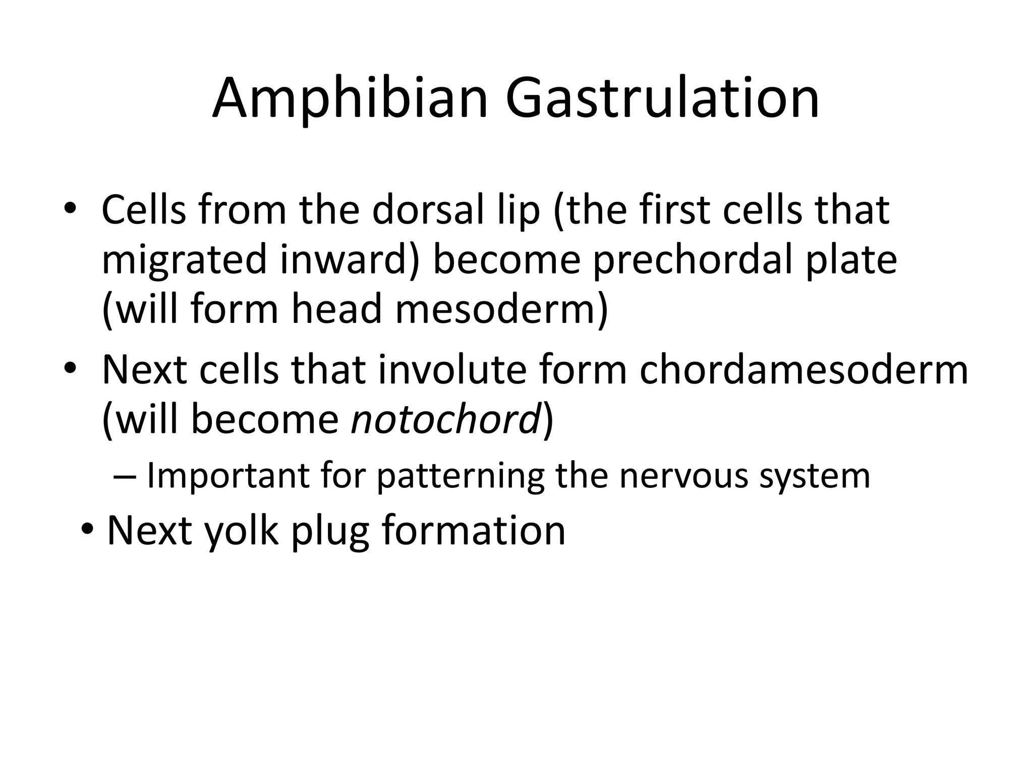 cleavage and gastrulation in amphibians | PPTX